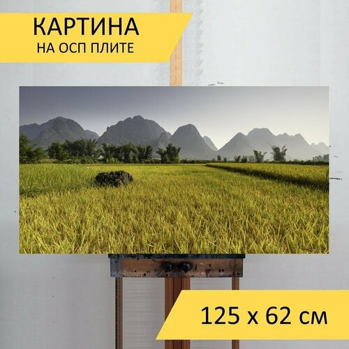 Картина на ОСП 125х62 см. "Рис, вьетнам, плато" горизонтальная, для интерьера, с креплениями