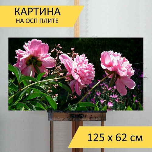 Картина на ОСП 125х62 см. "Пионы, цветы, розовый" горизонтальная, для интерьера, с креплениями