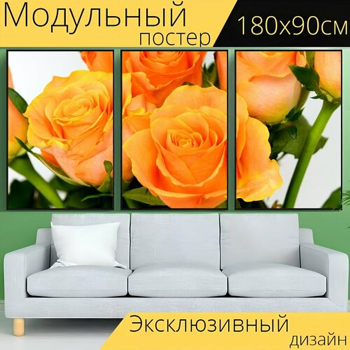 Модульный постер "Розы, цветок, цвести" 180 x 90 см. для интерьера