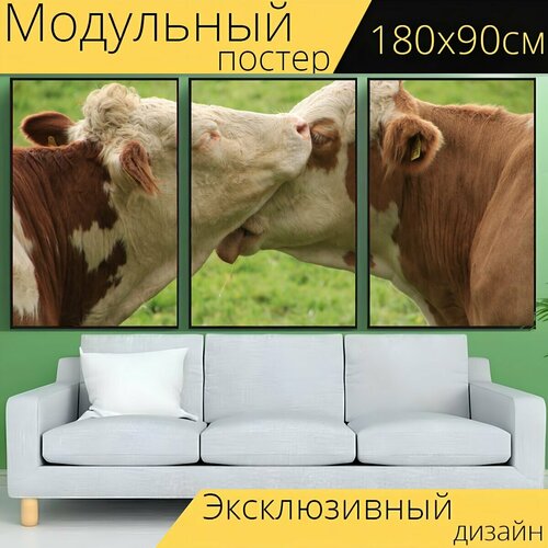 Модульный постер "Крупный рогатый скот, животные, млекопитающие" 180 x 90 см. для интерьера