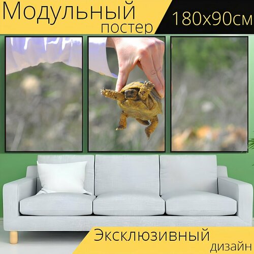 Модульный постер "Черепаха, животное, природа" 180 x 90 см. для интерьера