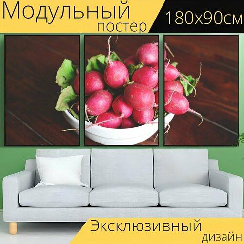 Модульный постер "Редис, редька, овощи" 180 x 90 см. для интерьера