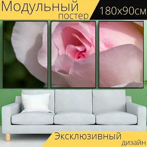 Модульный постер "Роза, цветок, природа" 180 x 90 см. для интерьера