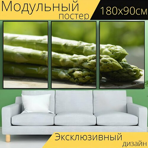 Модульный постер "Спаржа, зеленая спаржа, овощи" 180 x 90 см. для интерьера