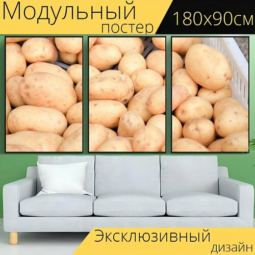 Модульный постер "Картошка, уборка урожая, сельское хозяйство" 180 x 90 см. для интерьера