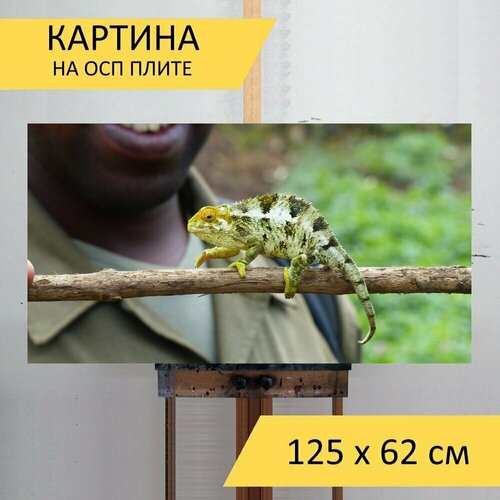 Картина на ОСП 125х62 см. "Хамелеон, рептилия, африка" горизонтальная, для интерьера, с креплениями