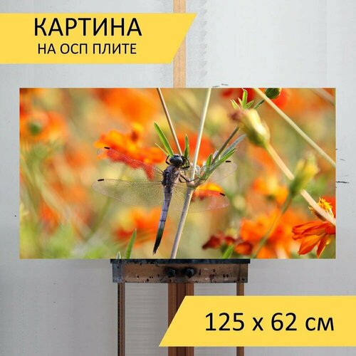 Картина на ОСП 125х62 см. "Стрекоза, насекомое, цветы" горизонтальная, для интерьера, с креплениями