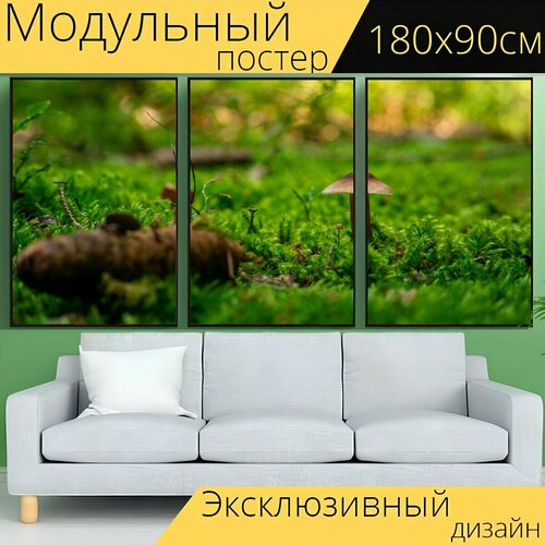 Модульный постер "Природа, гриб, зеленый" 180 x 90 см. для интерьера