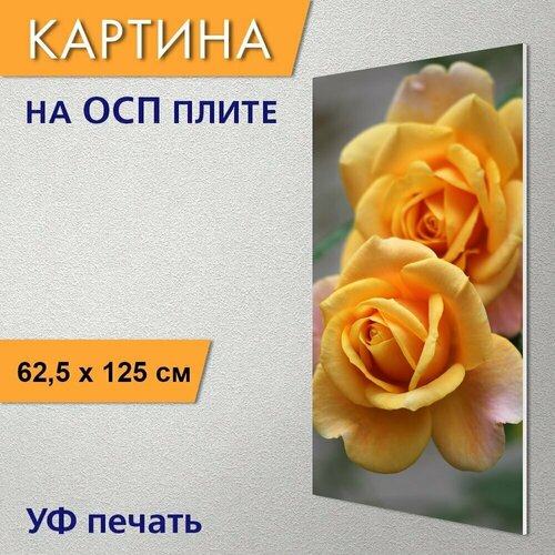 Вертикальная картина на ОСП "Две розы золотая медаль, цветы, цветущий" 62x125 см. для интерьериа