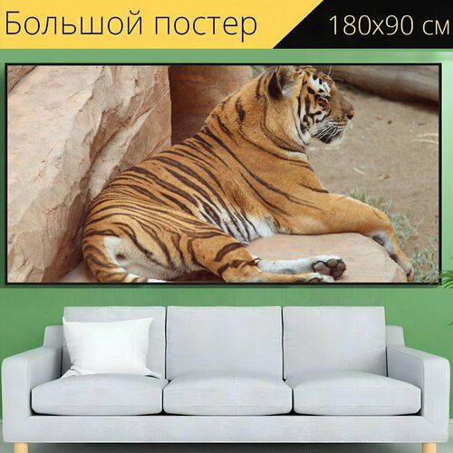 Большой постер "Тигр, большой кот, хищник" 180 x 90 см. для интерьера