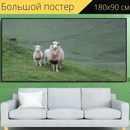 Большой постер "Овец, овца, ягненок" 180 x 90 см. для интерьера