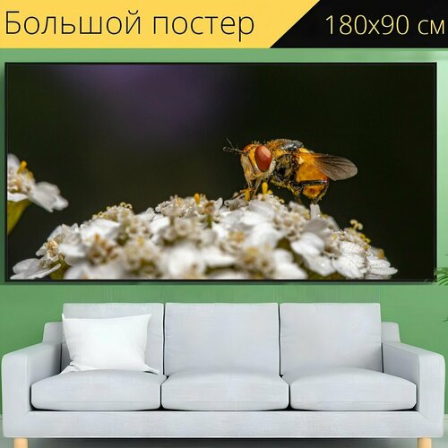 Большой постер "Опыление, цветочная муха, цветы" 180 x 90 см. для интерьера