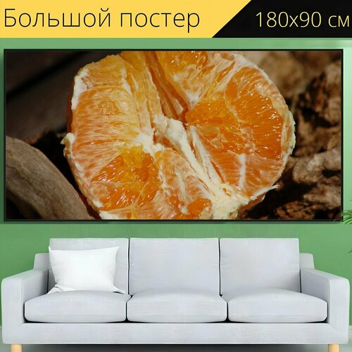 Большой постер "Апельсины, мякоть, фрукты" 180 x 90 см. для интерьера