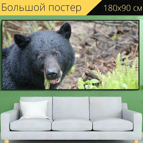 Большой постер "Черный медведь, животные, голова" 180 x 90 см. для интерьера