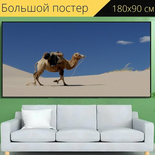 Большой постер "Верблюд, пустыня, песок" 180 x 90 см. для интерьера