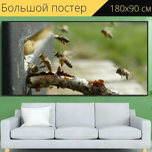 Большой постер "Пчела, улей, цветочная пыльца" 180 x 90 см. для интерьера
