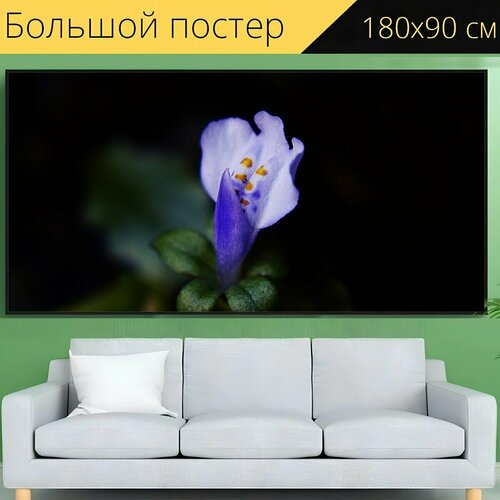 Большой постер "Цветок, орхидея, синий" 180 x 90 см. для интерьера