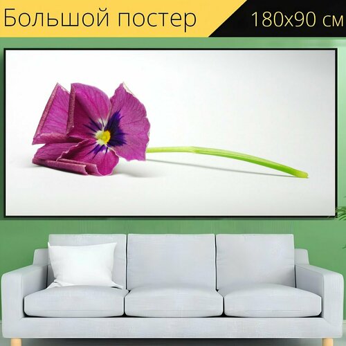 Большой постер "Цветок, цветок крупным планом, фиолетовый цветок" 180 x 90 см. для интерьера