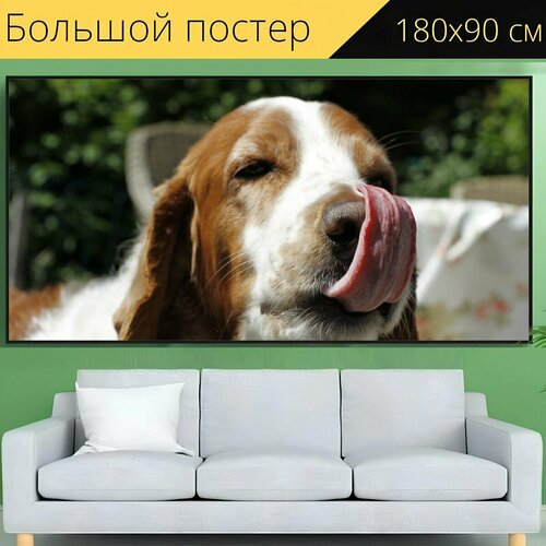 Большой постер "Собака, язык, портрет животных" 180 x 90 см. для интерьера