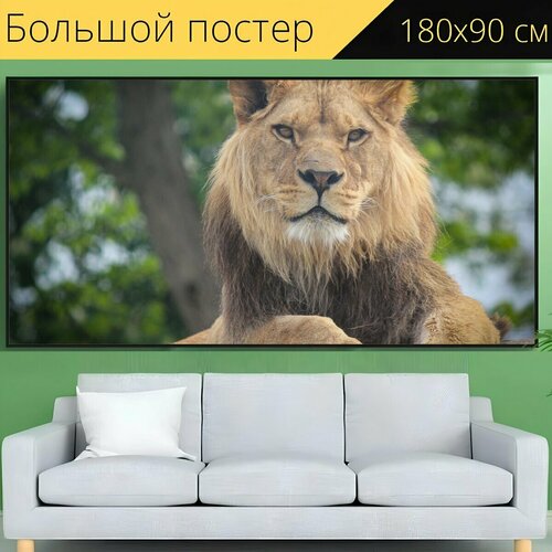 Большой постер "Лев, животных, дикая природа" 180 x 90 см. для интерьера