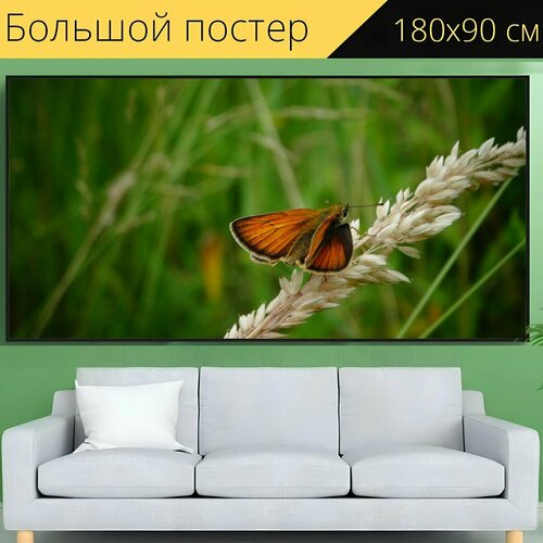 Большой постер "Бабочка, семена травы, насекомое" 180 x 90 см. для интерьера