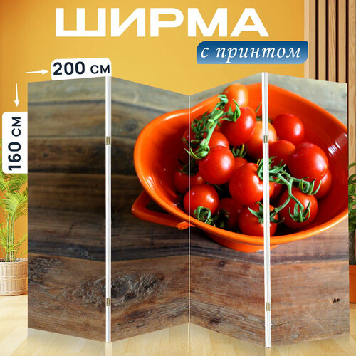 Ширма перегородка с принтом "Помидор, сад, помидоры" на холсте - 200x160 см. для зонирования, раскладная