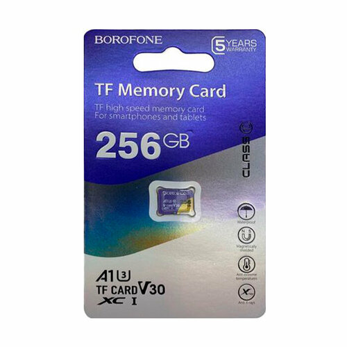 Карта памяти 256Gb microSDHC C10 Borofone