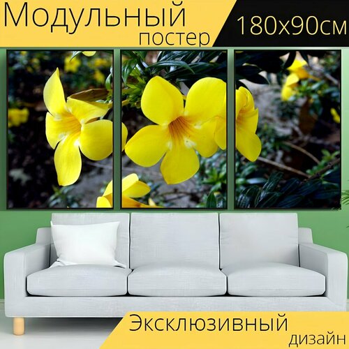 Модульный постер "Желтые цветы, пентаграммы, цветущие цветы" 180 x 90 см. для интерьера