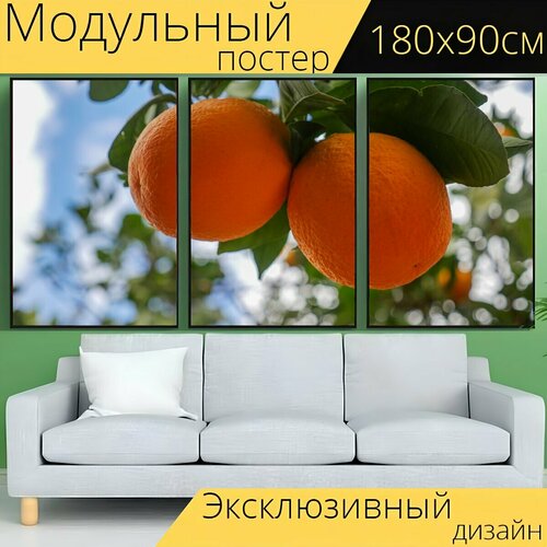 Модульный постер "Апельсины, фрукты, пара" 180 x 90 см. для интерьера