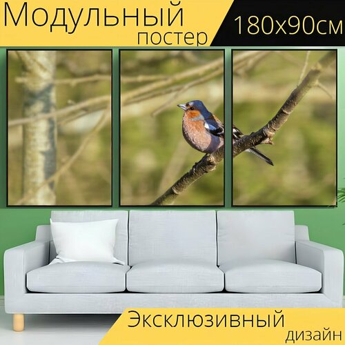 Модульный постер "Евразийский снегирь, птица, сидя" 180 x 90 см. для интерьера