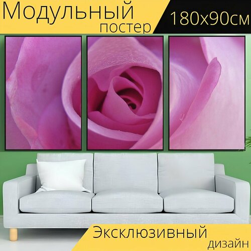Модульный постер "Роуз, фиолетовый, лепестки" 180 x 90 см. для интерьера