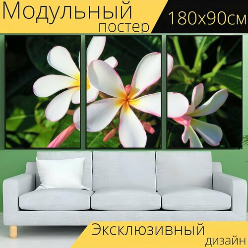 Модульный постер "Цветок, тропический цветок, природа" 180 x 90 см. для интерьера