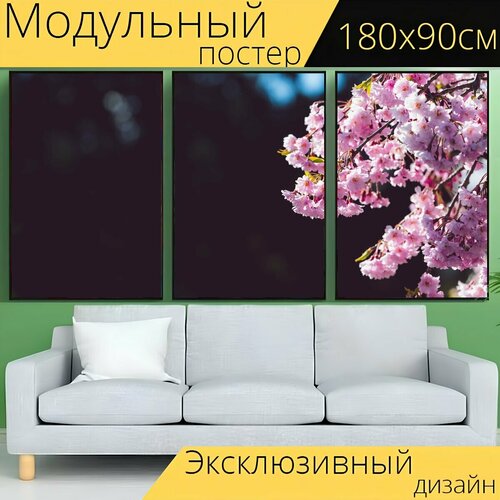 Модульный постер "Вишни в цвету, негативное пространство, весна" 180 x 90 см. для интерьера