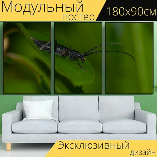 Модульный постер "Жук, насекомое, насекомое" 180 x 90 см. для интерьера