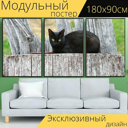 Модульный постер "Кошка, чернить, животное" 180 x 90 см. для интерьера