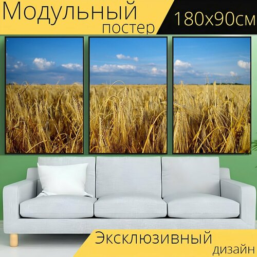 Модульный постер "Поле, пшеница, летом" 180 x 90 см. для интерьера