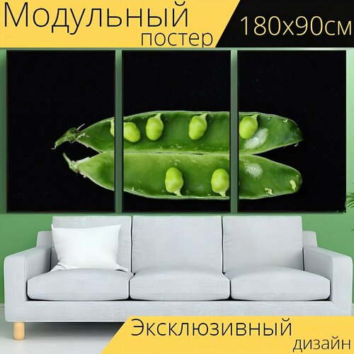 Модульный постер "Овощ, горох, зеленый горошек" 180 x 90 см. для интерьера