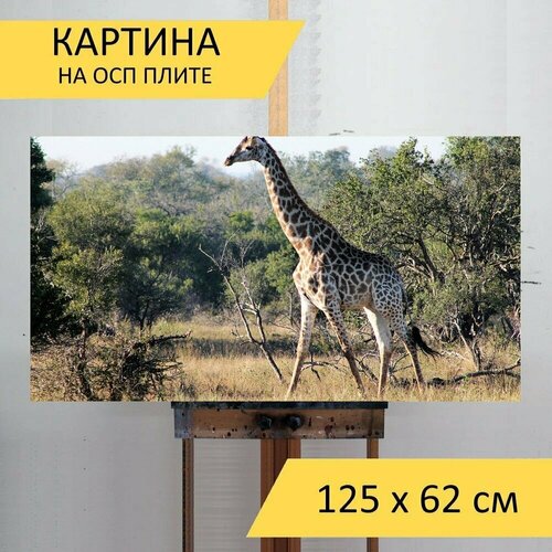 Картина на ОСП 125х62 см. "Жирафа, длинная шея, рога" горизонтальная, для интерьера, с креплениями