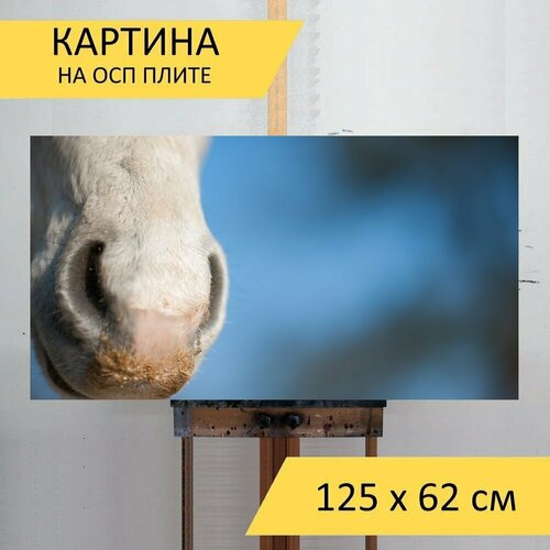 Картина на ОСП 125х62 см. "Лошадь, белый, животное" горизонтальная, для интерьера, с креплениями