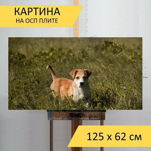 Картина на ОСП 125х62 см. "Собака, трава, щенок" горизонтальная, для интерьера, с креплениями