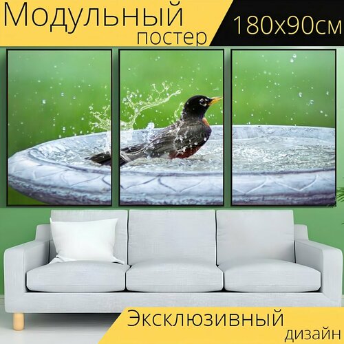 Модульный постер "Птица ванна, брызги, птица в ванной" 180 x 90 см. для интерьера