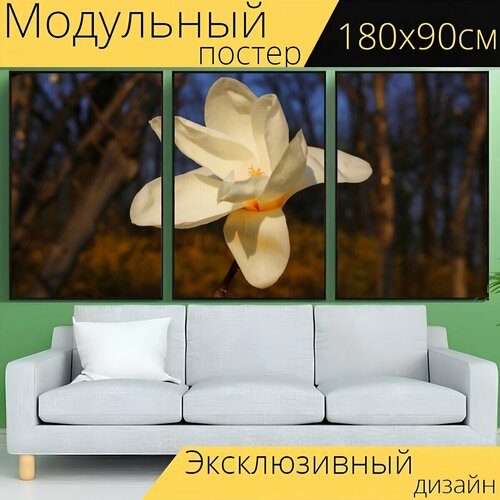 Модульный постер "Магнолия, весна, цветок" 180 x 90 см. для интерьера