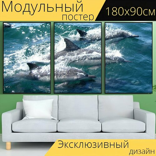 Модульный постер "Дельфины, плавание, вода" 180 x 90 см. для интерьера