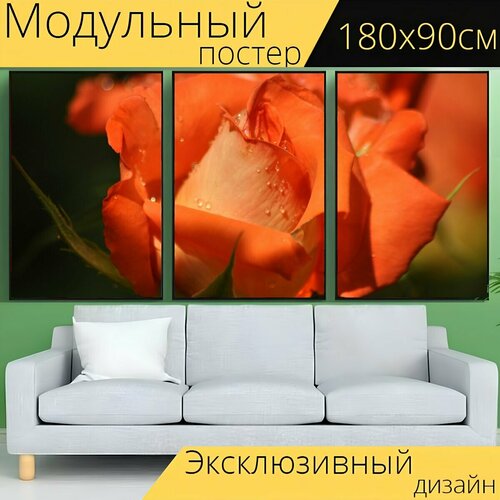 Модульный постер "Роза, оранжевый, цвет" 180 x 90 см. для интерьера