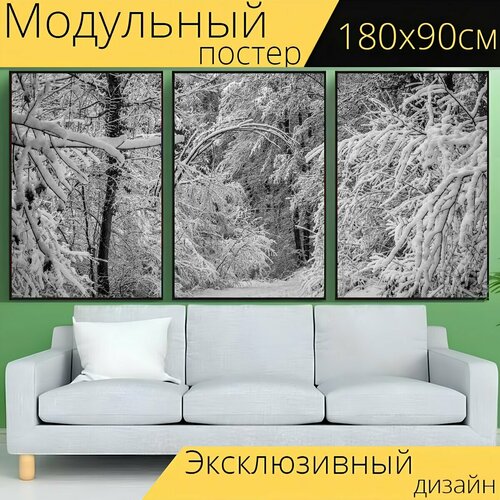 Модульный постер "Зима, лес, поляна" 180 x 90 см. для интерьера