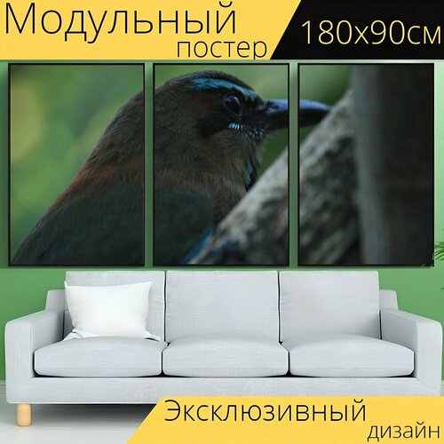 Модульный постер "Птица ханойская башня, птица, пик" 180 x 90 см. для интерьера