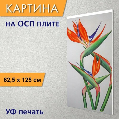 Вертикальная картина на ОСП "Стрелитция, красивая, цветы" 62x125 см. для интерьериа
