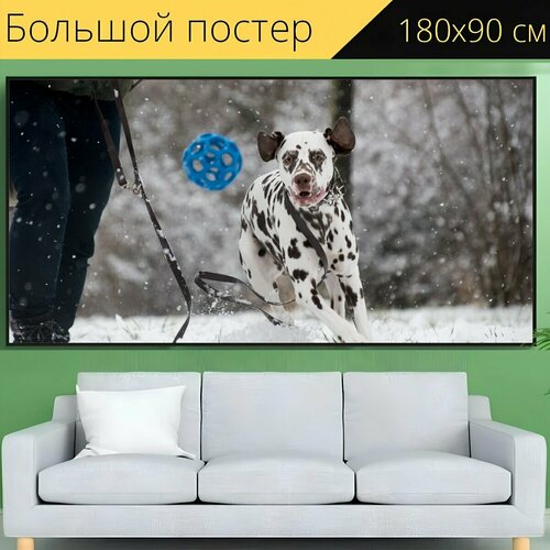 Большой постер "Далматинец, собака, снег" 180 x 90 см. для интерьера