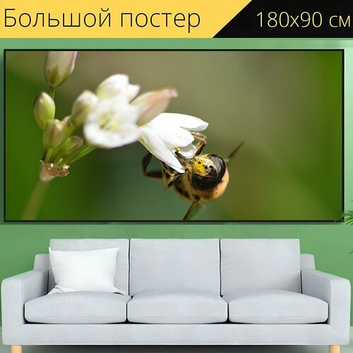 Большой постер "Пчела, насекомое, пыльца" 180 x 90 см. для интерьера