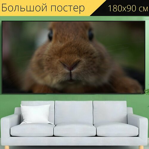 Большой постер "Кролик, милый, кролики" 180 x 90 см. для интерьера